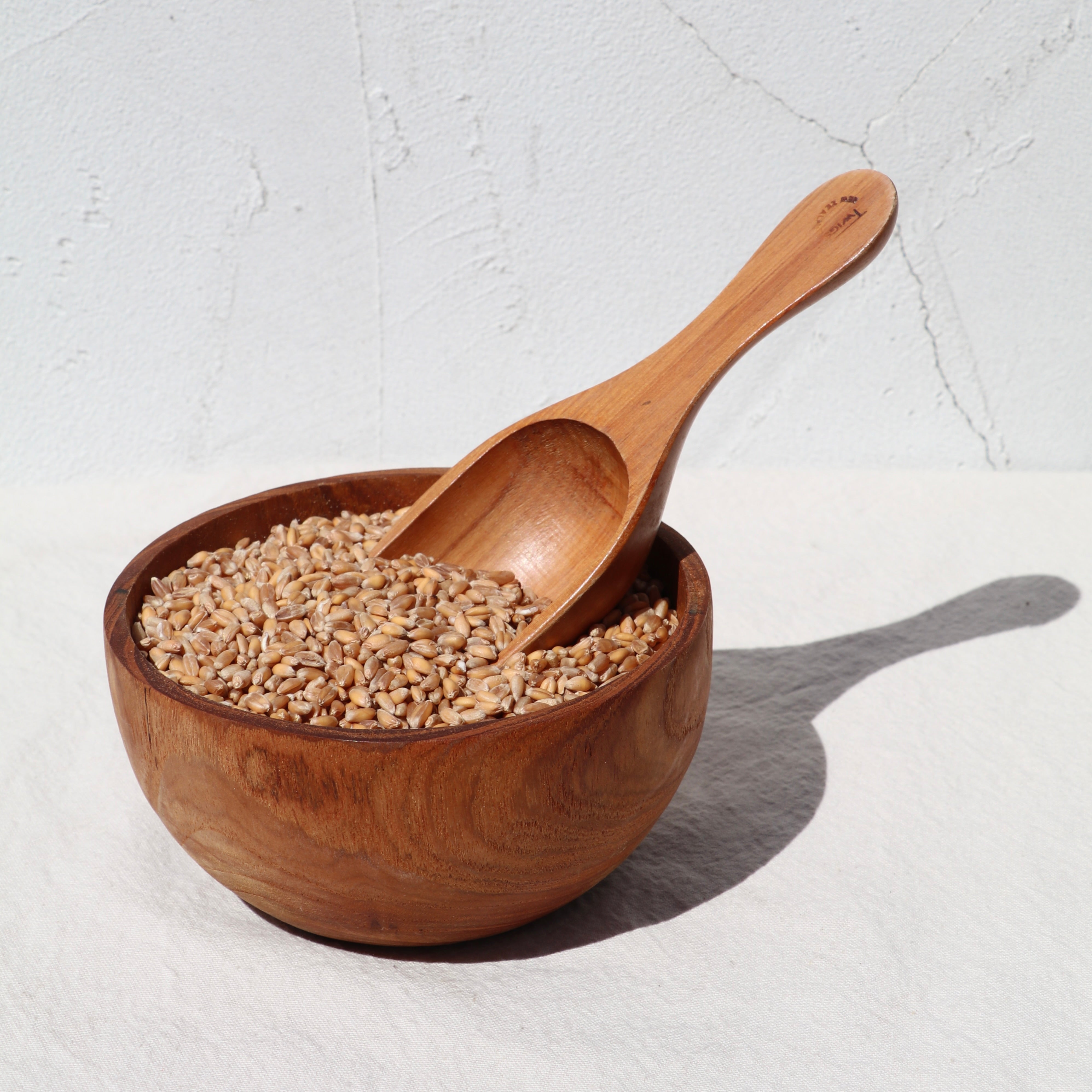 Spelt Grain – Capital Millers